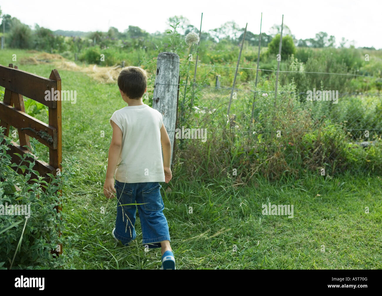 Person Entering Gate High Resolution Stock Photography and Images - Alamy