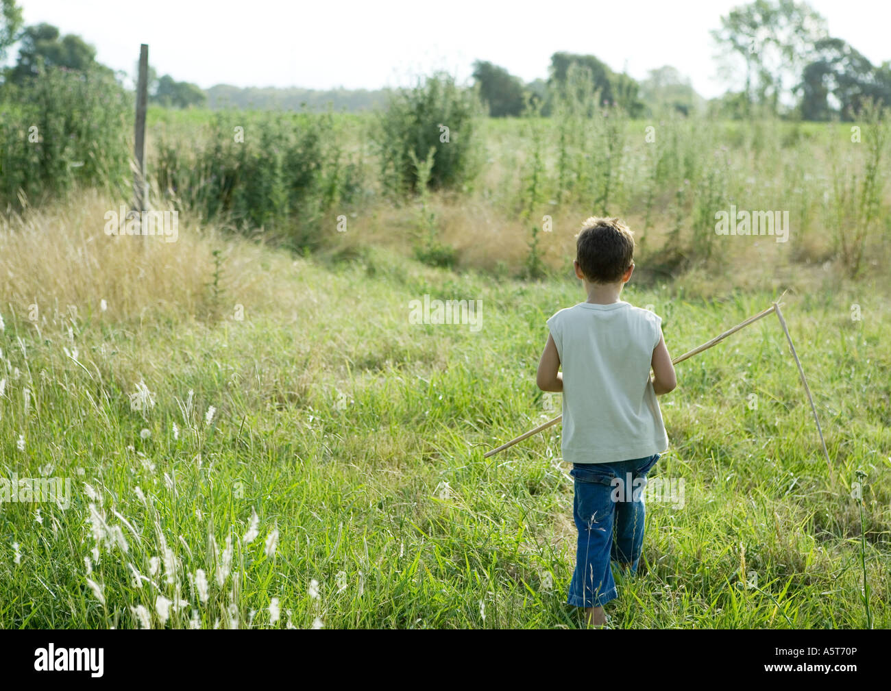 Boy walking through field, rear view Stock Photo - Alamy