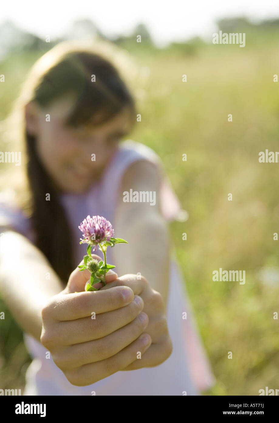 Handing out flowers hi-res stock photography and images - Alamy