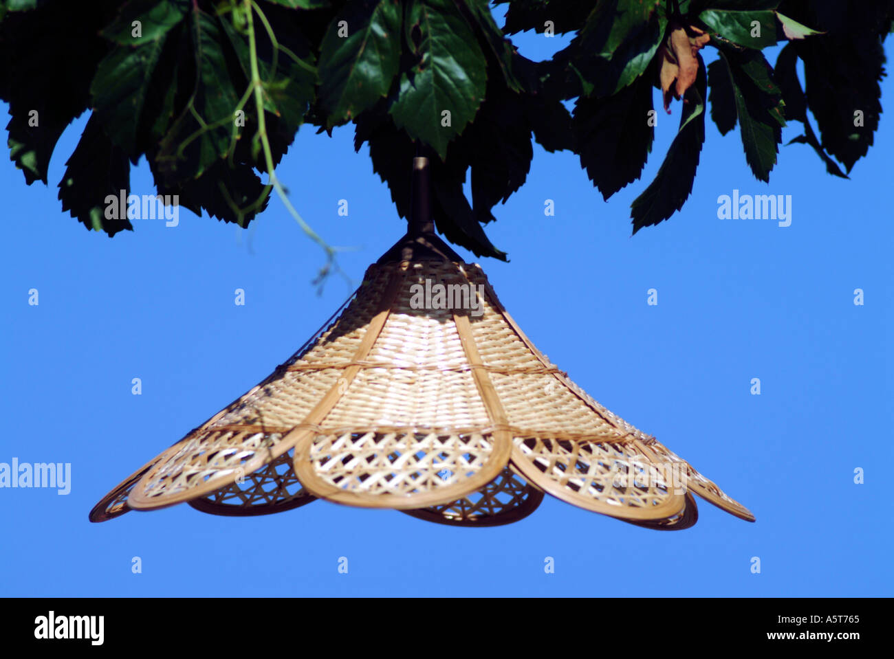Artistic lampshade hi-res stock photography and images - Alamy