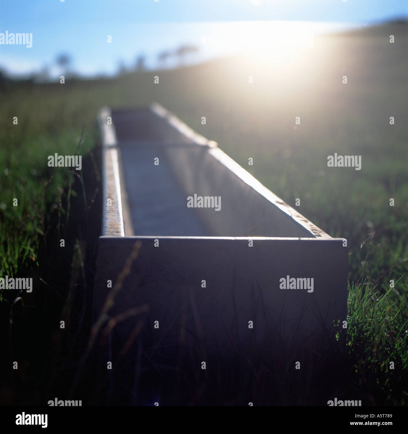 An empty feeding watering trough in a field Carmarthenshire Wales UK ...