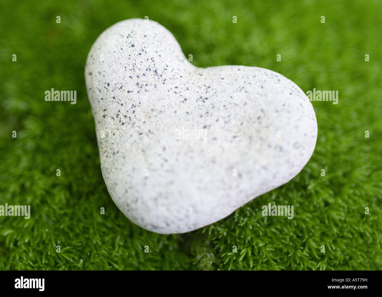 Heart-shaped stone on moss Stock Photo - Alamy