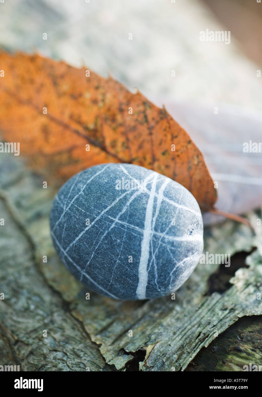 Pebble, leaf and bark Stock Photo - Alamy