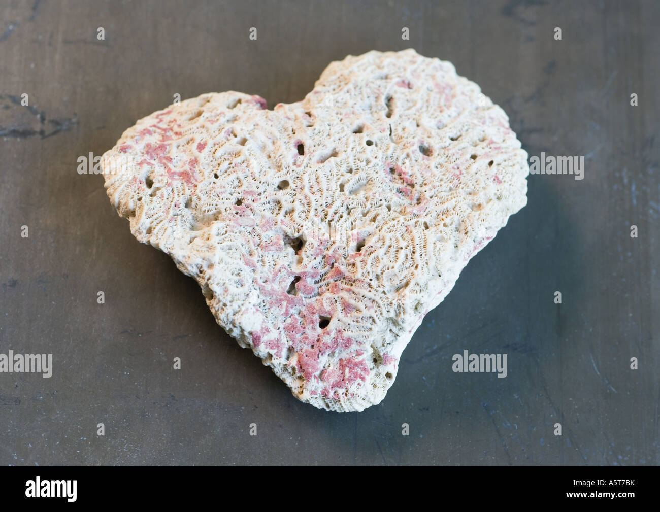Heart piece coral hi-res stock photography and images - Alamy