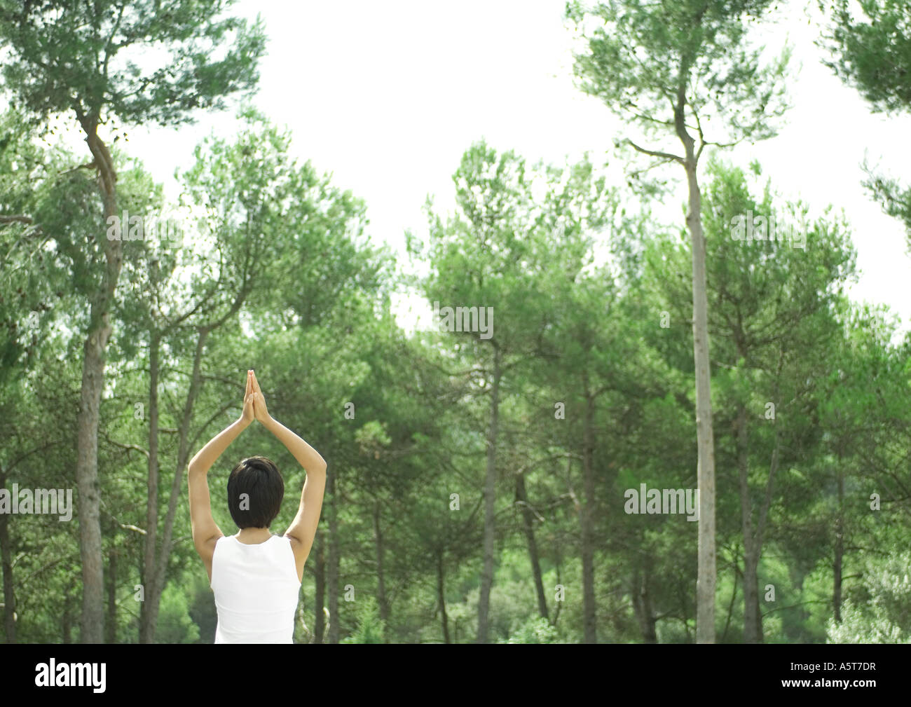 Woman standing in sun salutation, facing trees Stock Photo - Alamy