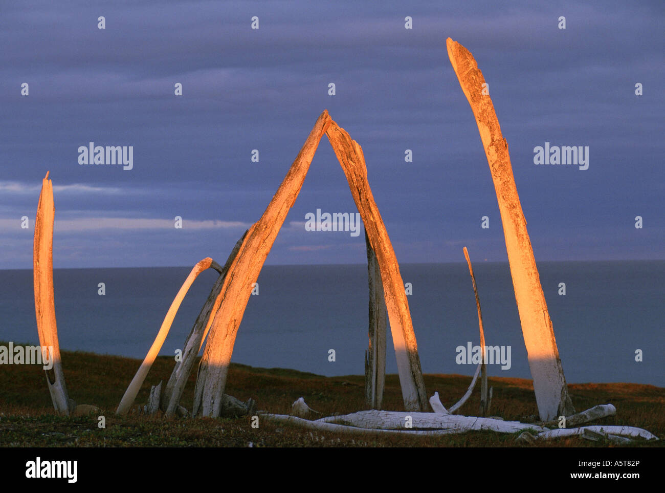 Chukchi Peninsula