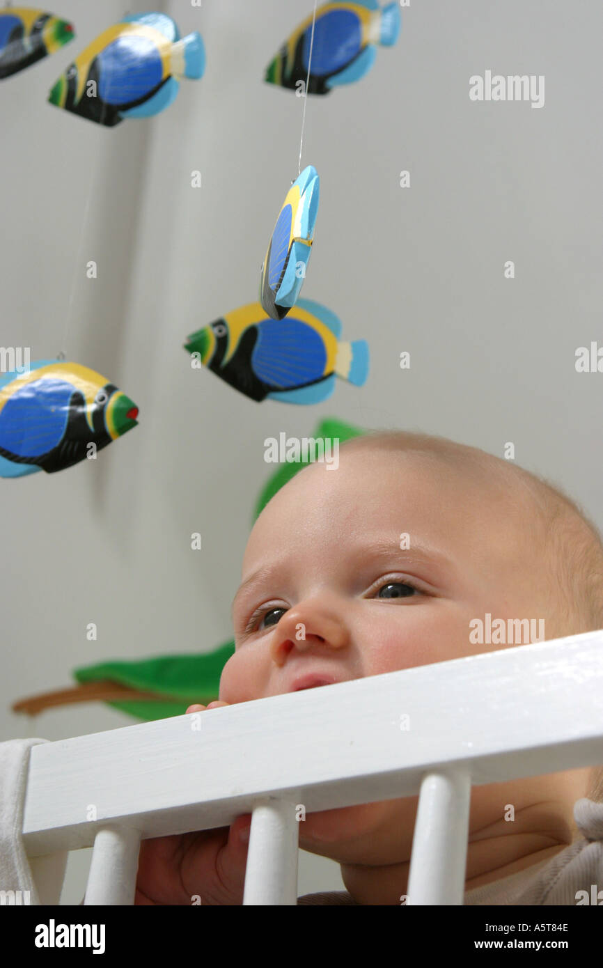 baby boy peering over cot Stock Photo - Alamy