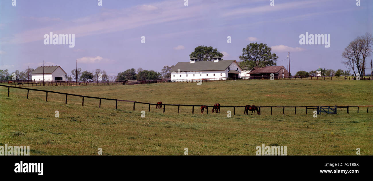 Echo Valley Thoroughbred Horse breeding Farm in the Blue Grass Region ...
