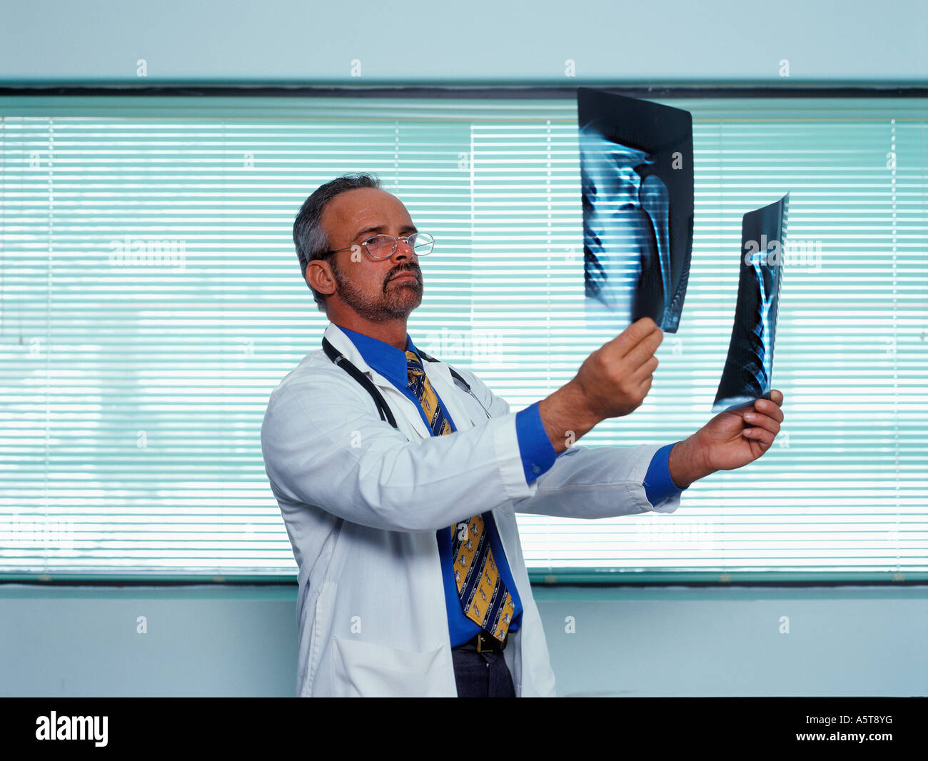 Doctor Looking at X rays Stock Photo - Alamy