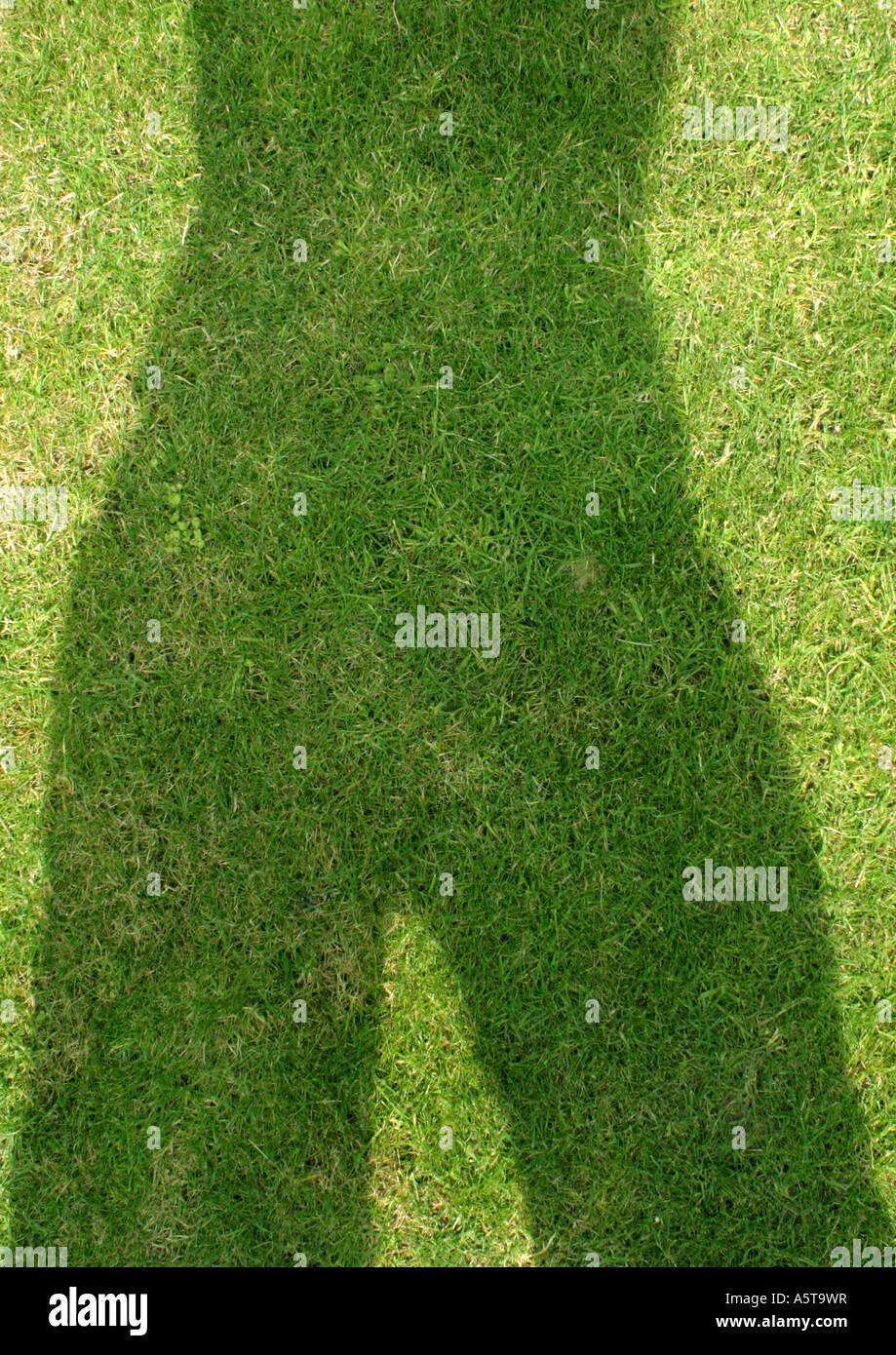 Shadow on Grass Stock Photo - Alamy