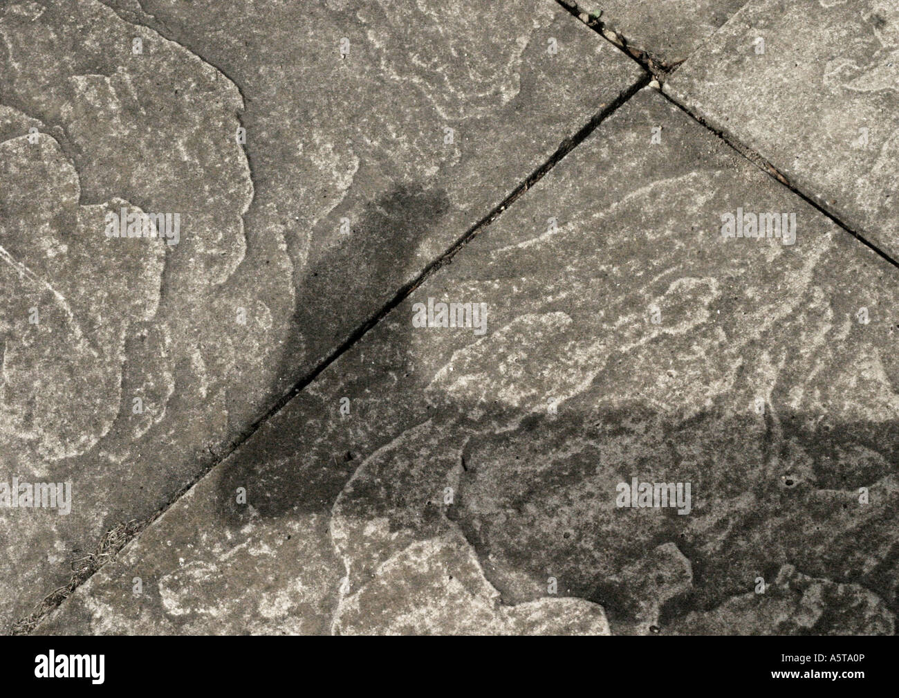 Paving Slab Foot Path Stock Photo - Alamy