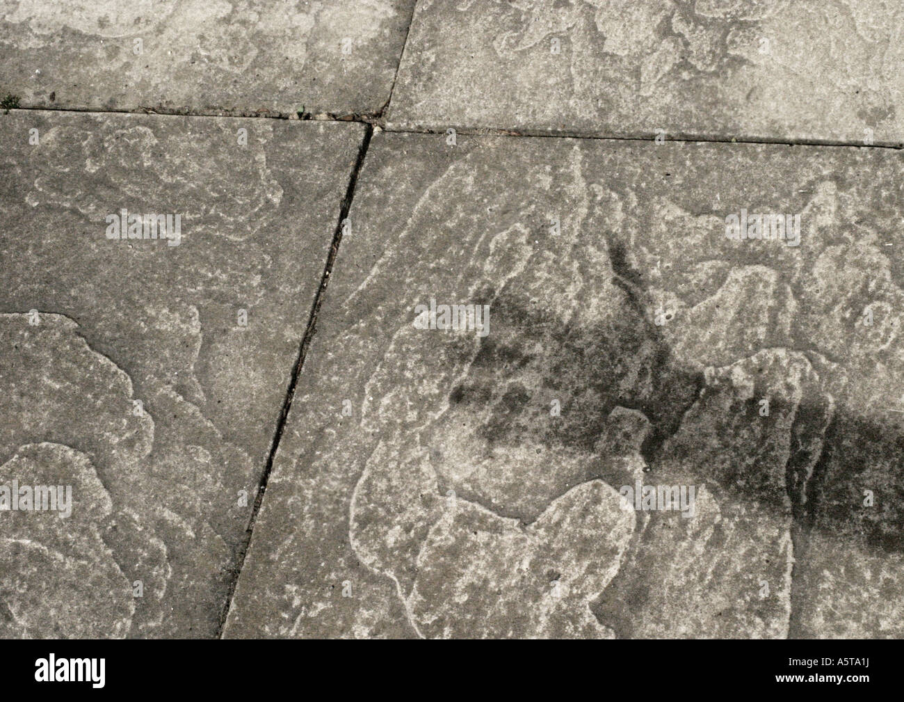 Hand slabs grass hi-res stock photography and images - Alamy