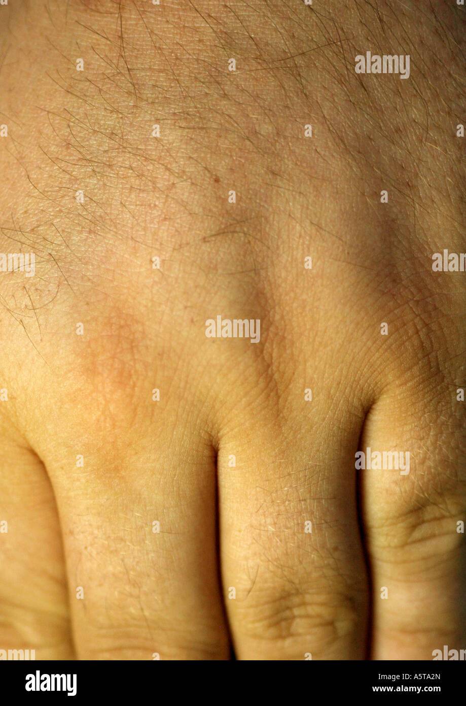 Reverse of Hand Stock Photo - Alamy