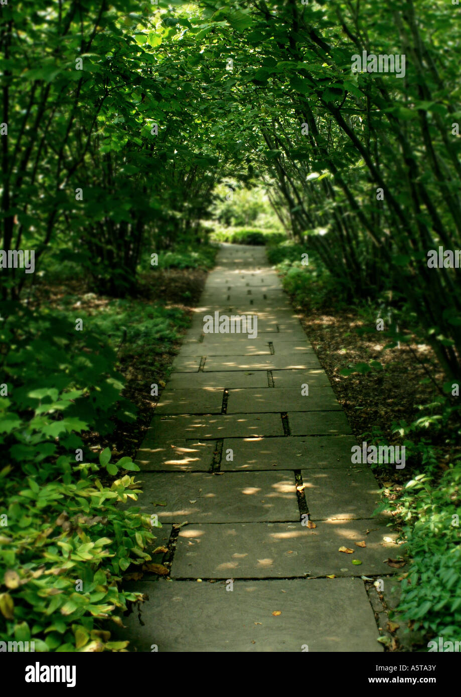 Whisper walk hi-res stock photography and images - Alamy