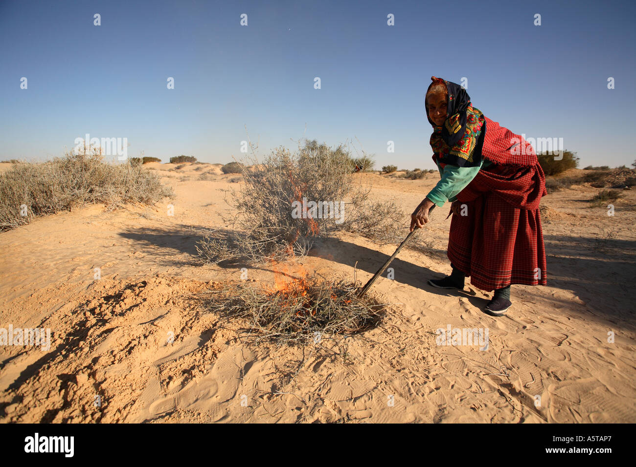 Horizontal wideangle portrait of elderly nomadic berber woman tending ...