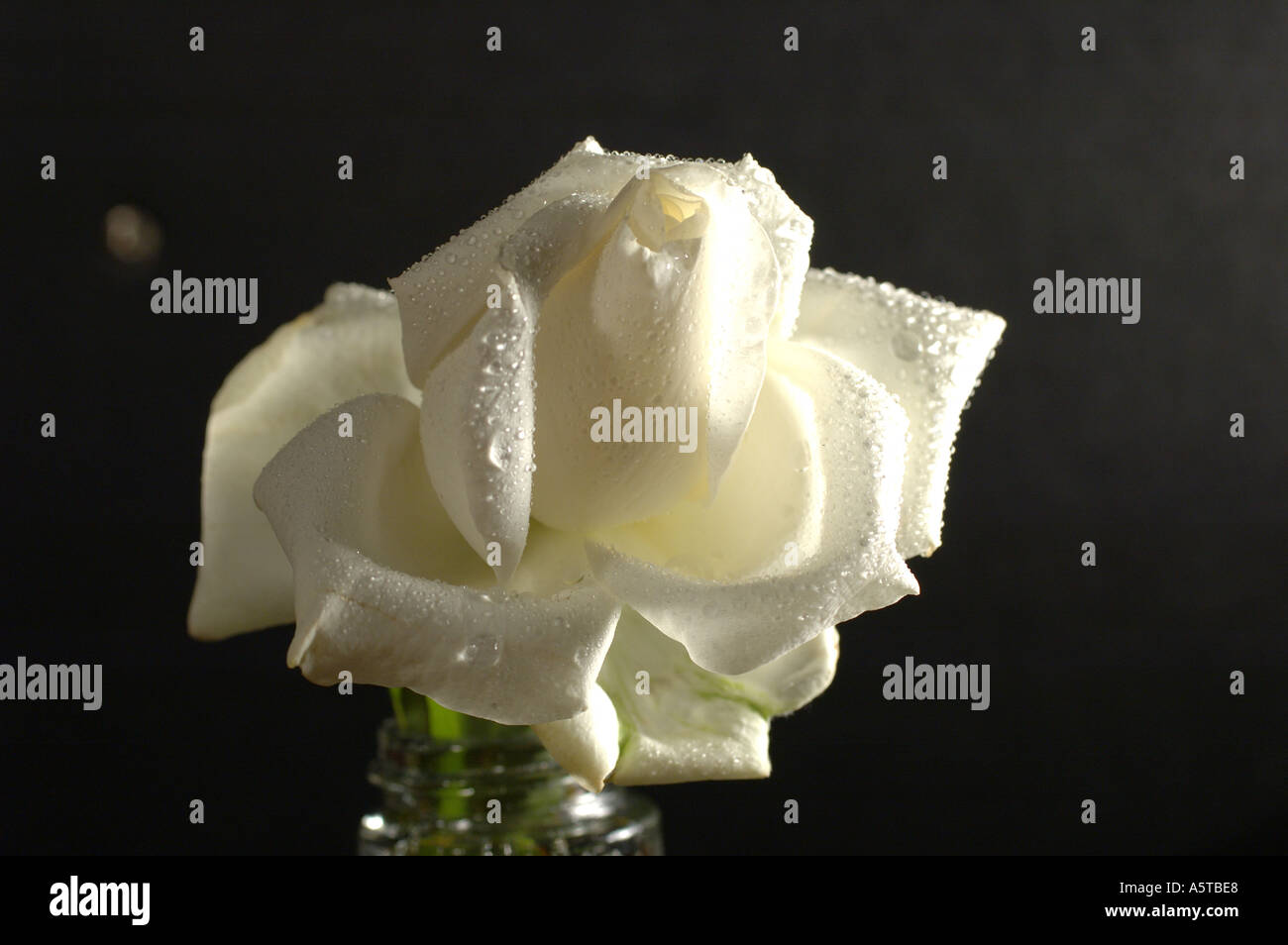 Rose water flask hi-res stock photography and images - Alamy