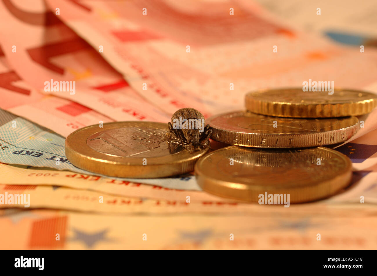 Beatle bank hi-res stock photography and images - Alamy