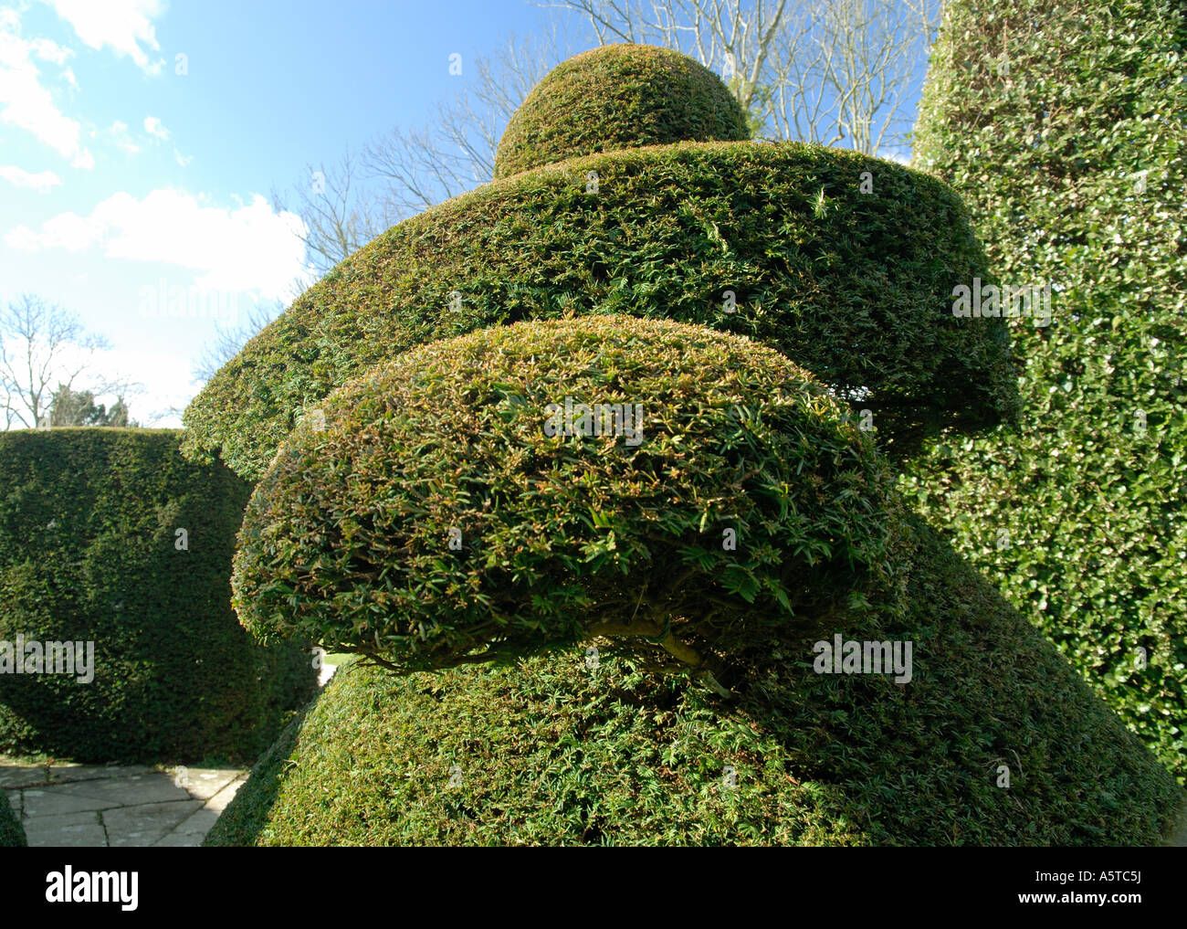 Topiary hi-res stock photography and images - Alamy