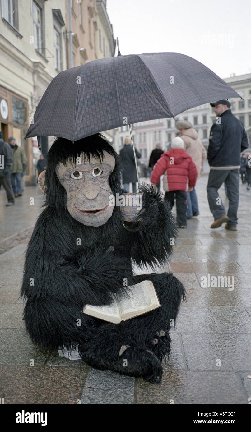Monkey reading hi-res stock photography and images - Alamy