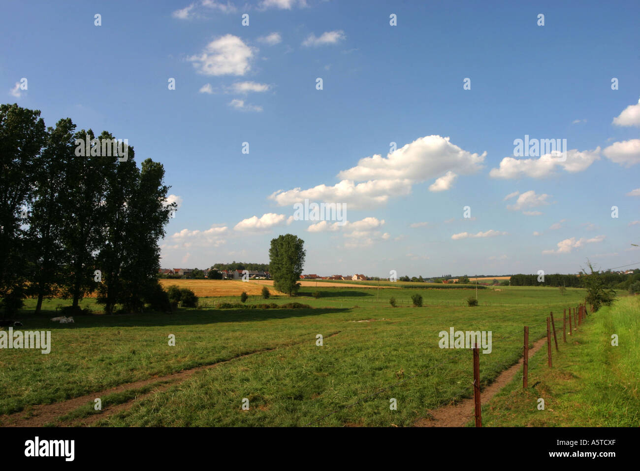 Belgian farm in the countryside Stock Photo - Alamy