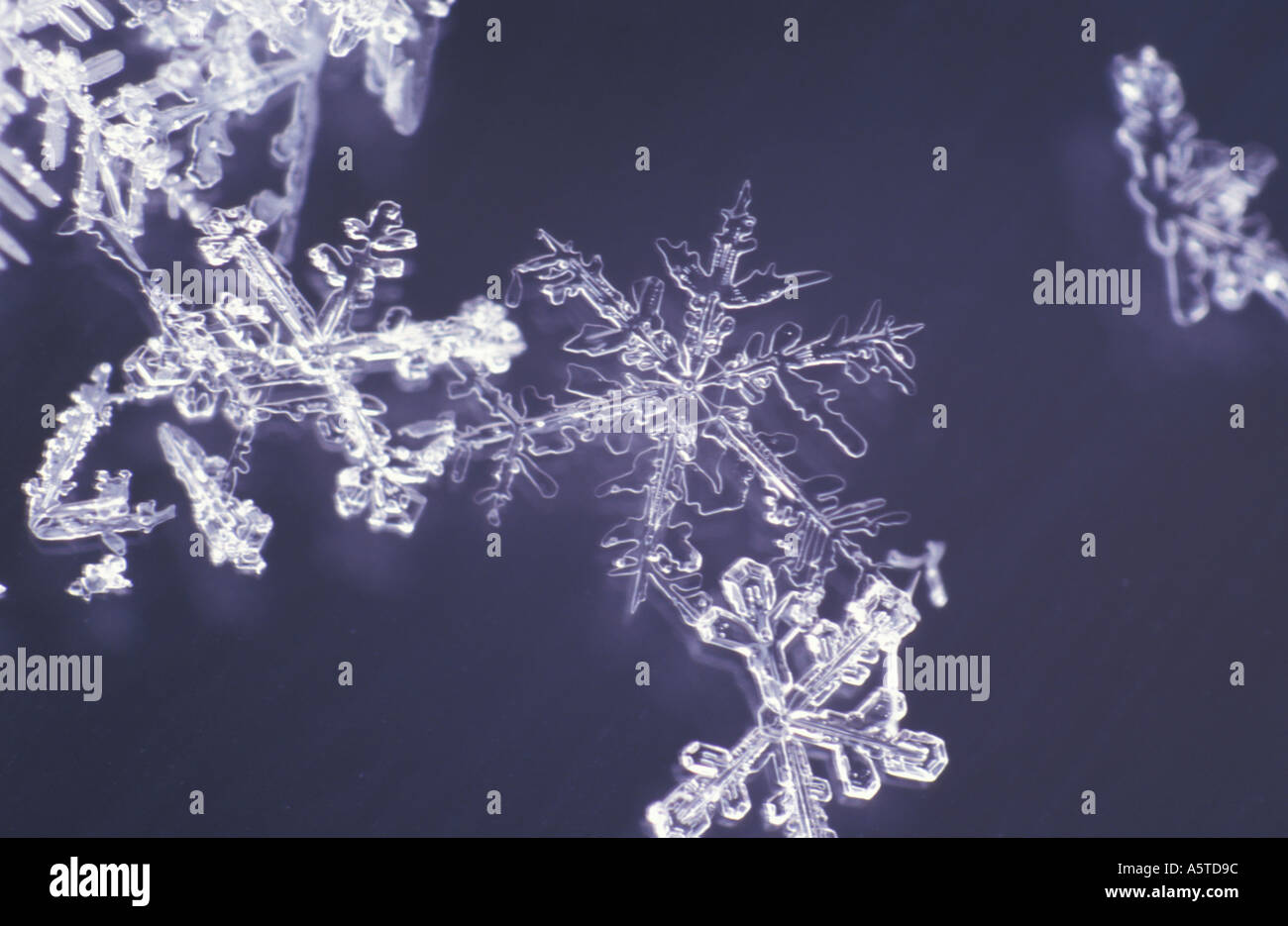 Crystalization hi-res stock photography and images - Alamy