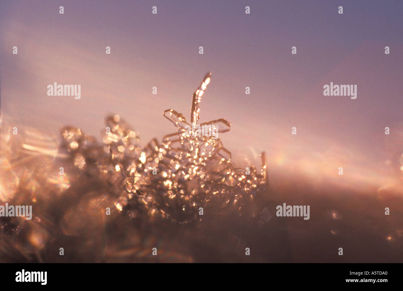 snow flakes Stock Photo - Alamy