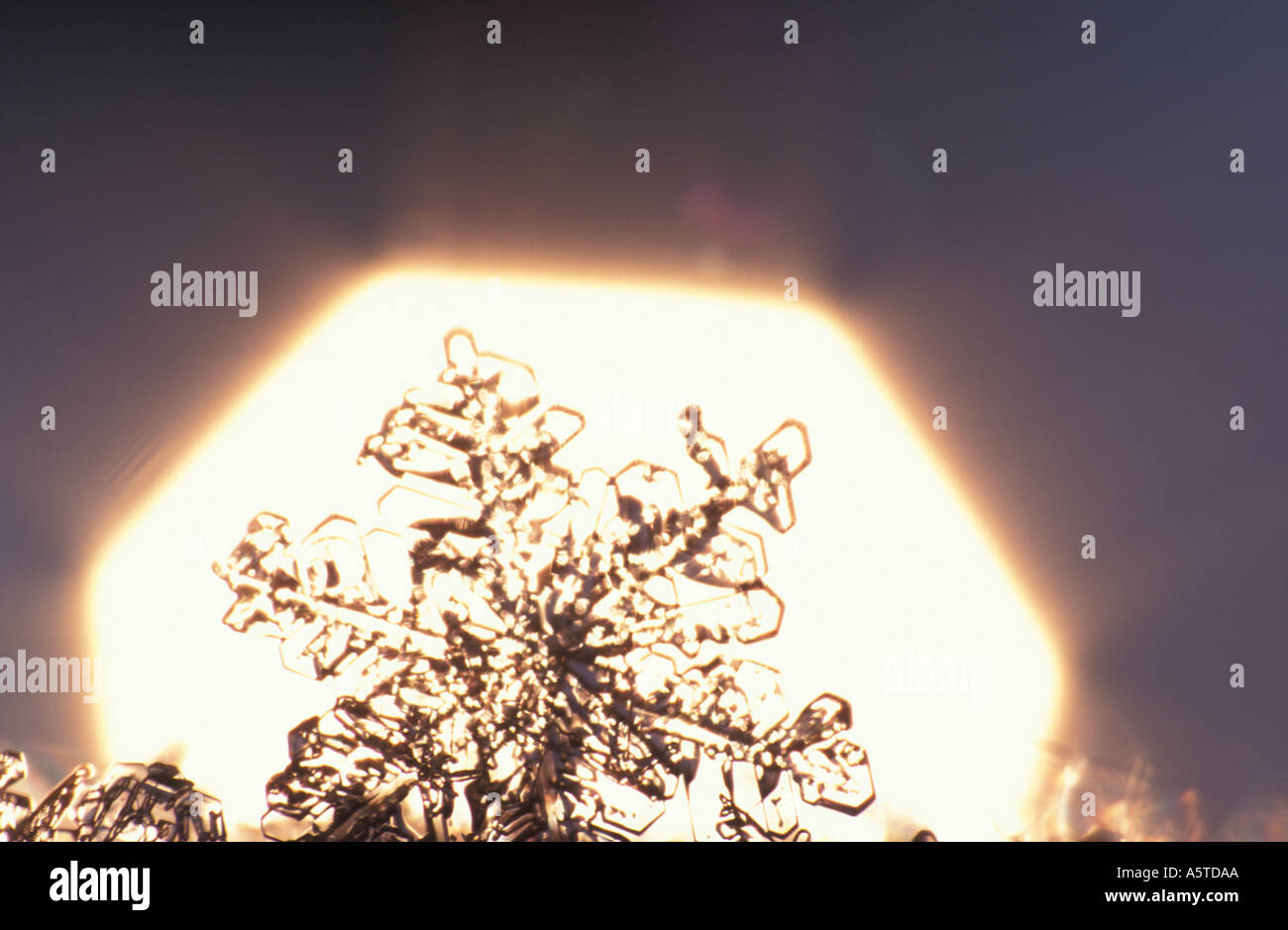 snow flakes Stock Photo - Alamy