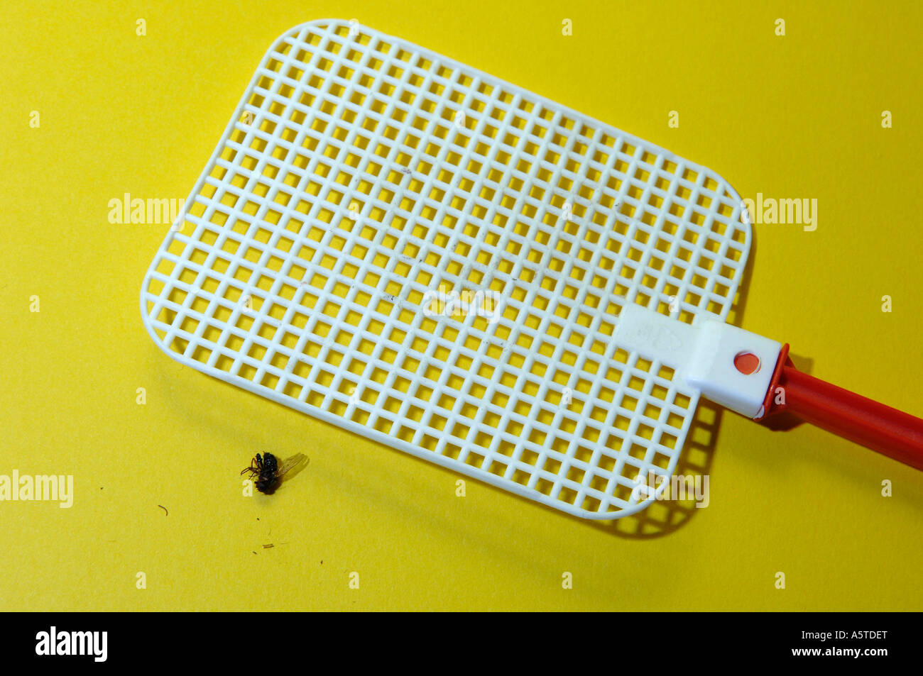 fly swat and death fly Stock Photo - Alamy