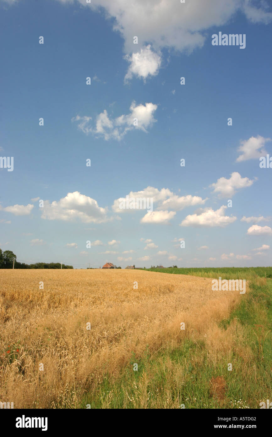 Belgian rural countryside Stock Photo - Alamy