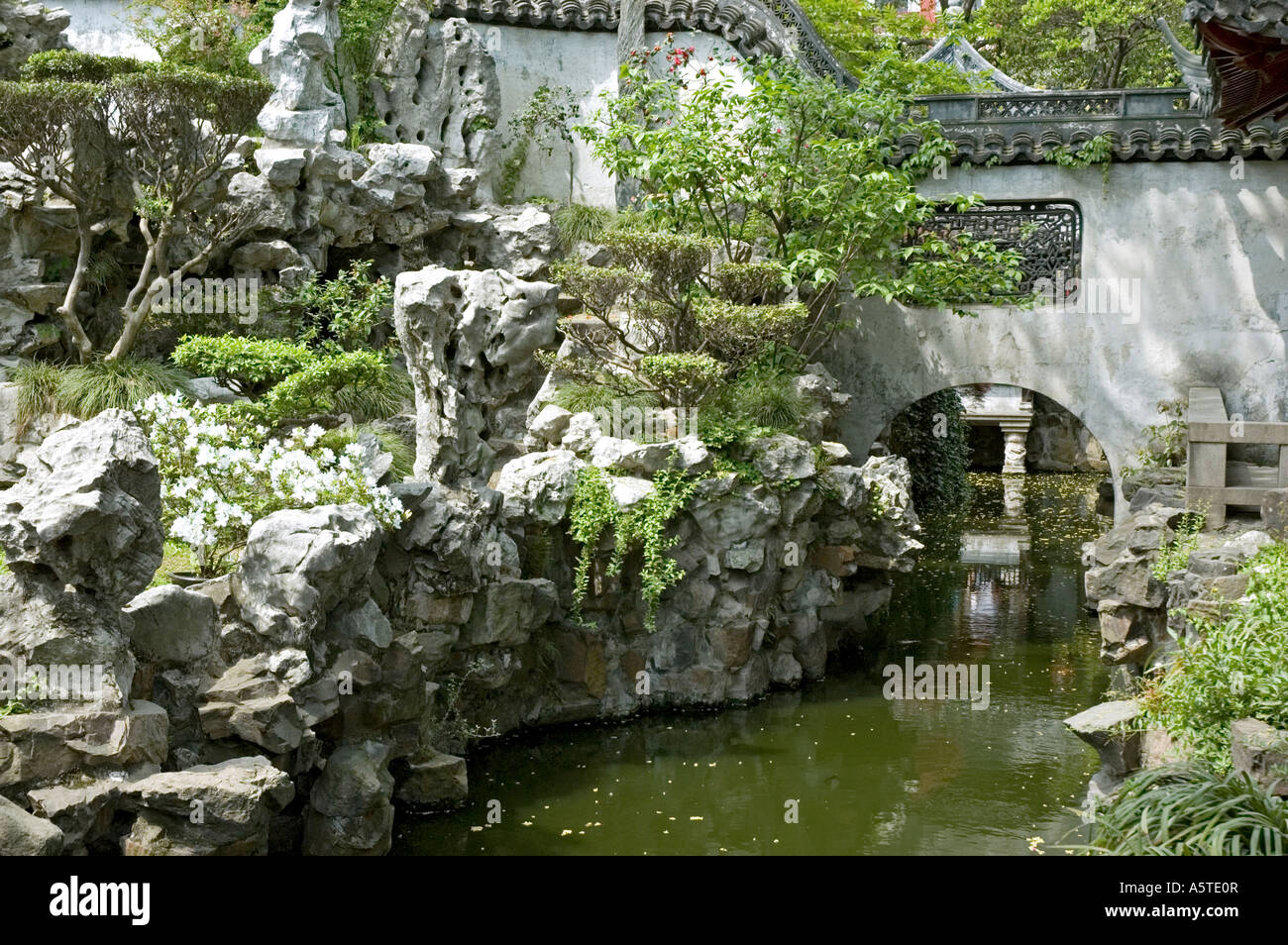 Plants trees under bridge architecture hi-res stock photography and ...