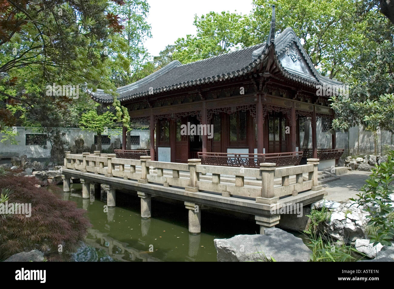 Nine lion study hi-res stock photography and images - Alamy