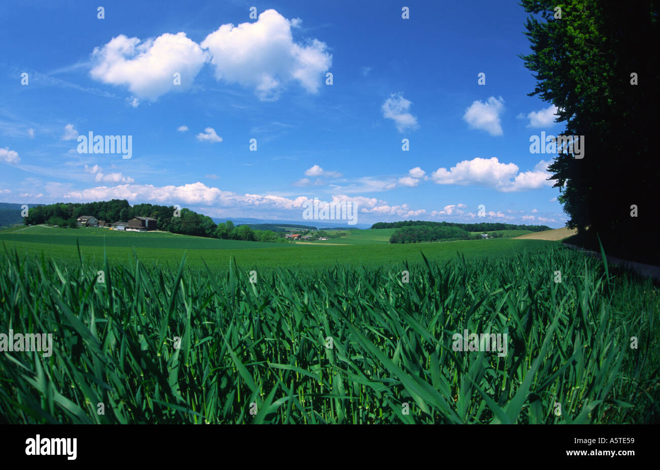 Wide Summer Landscape Fisheye Picture Stock Photo - Alamy