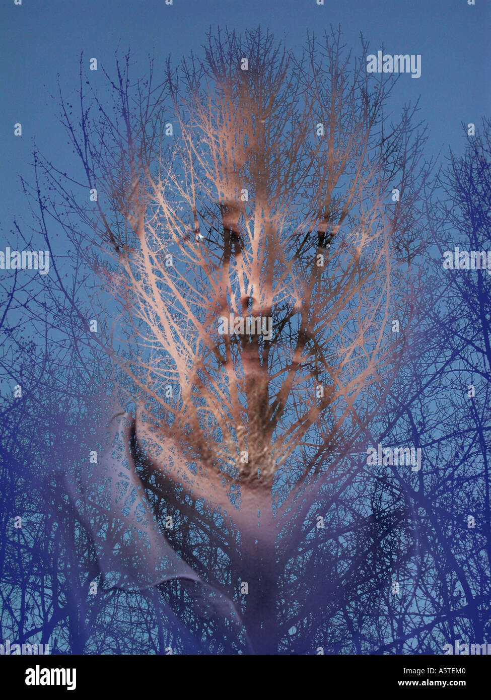 face reflecting in window Stock Photo - Alamy