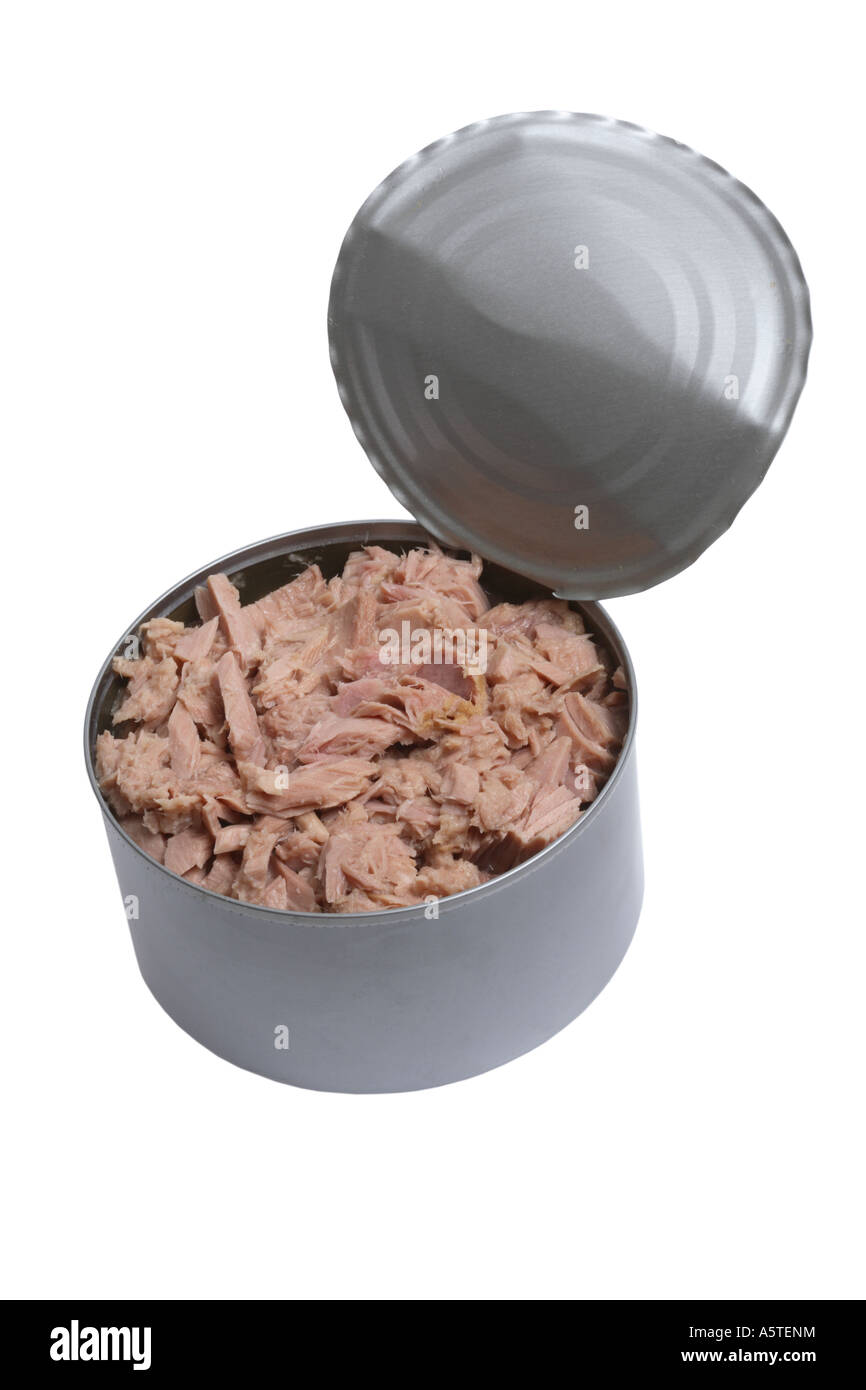 Can fish icon outline Cut Out Stock Images & Pictures - Alamy