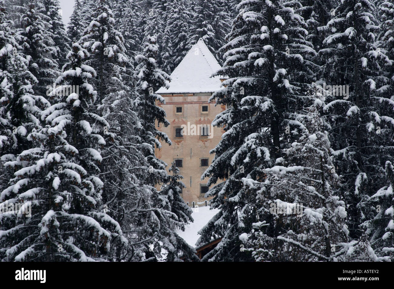 Castle in the trees Stock Photo - Alamy