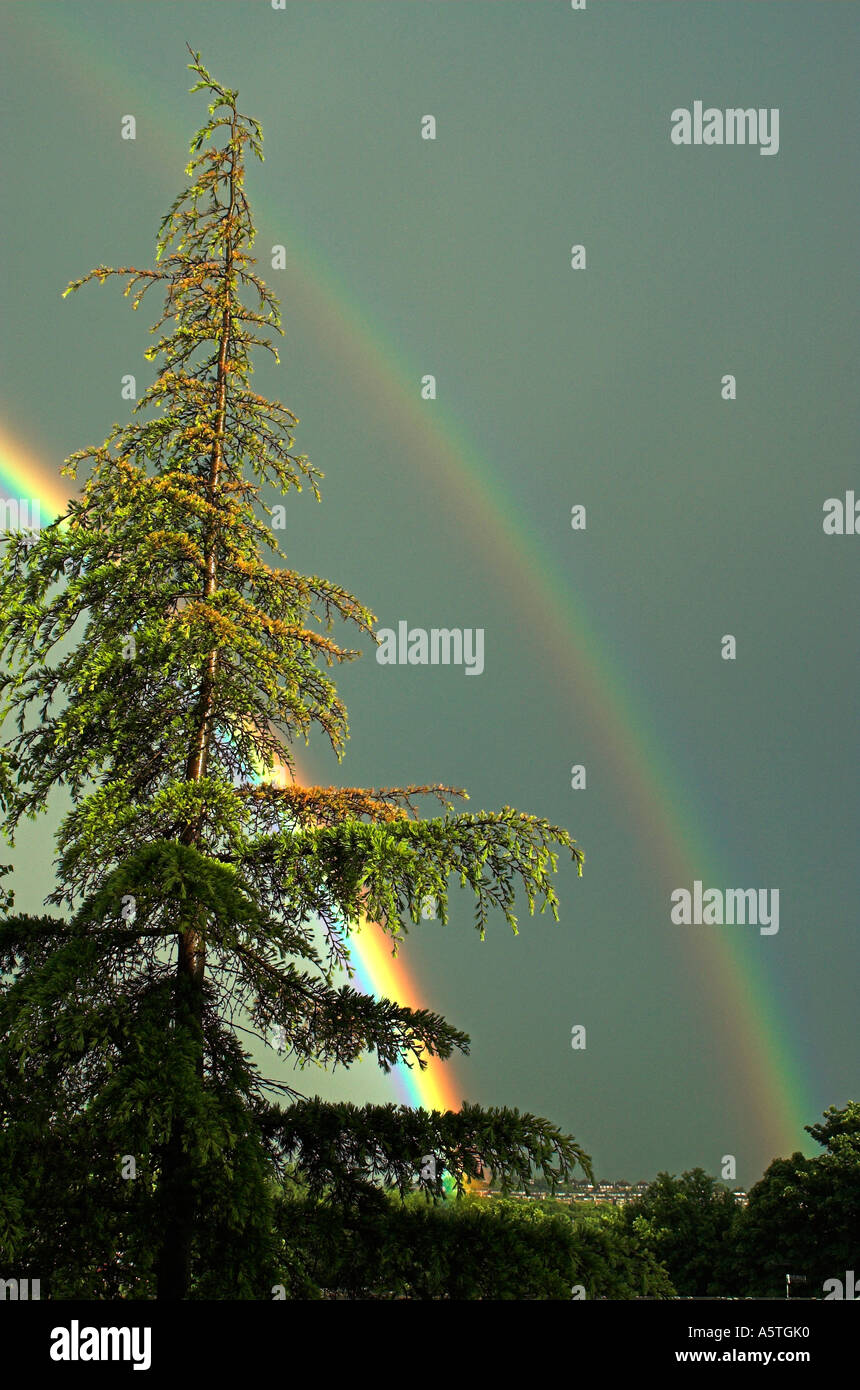 Pot of gold rainbow hi-res stock photography and images - Alamy