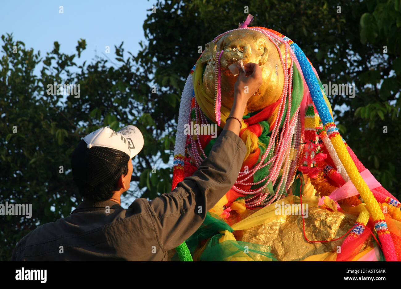 Strange pig hi-res stock photography and images - Alamy