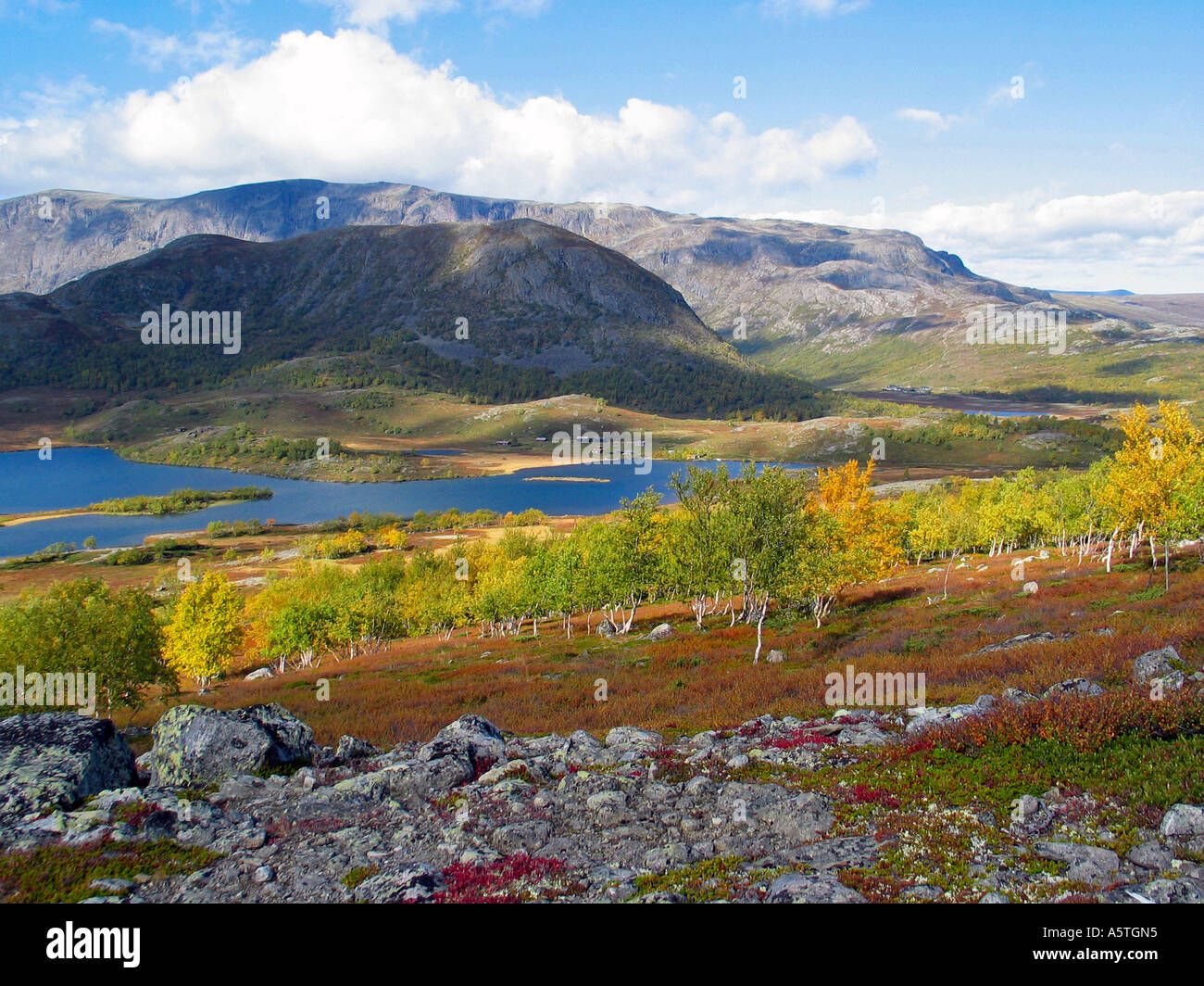 The turning of the seasons Indian summer Jotunheimen Norway Stock Photo ...