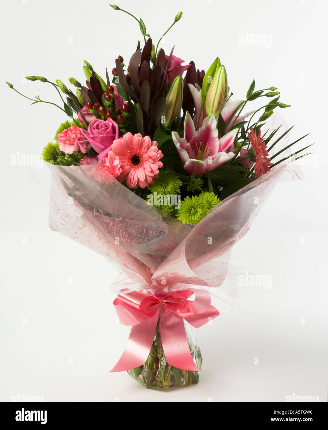 Surprise lily hi-res stock photography and images - Alamy