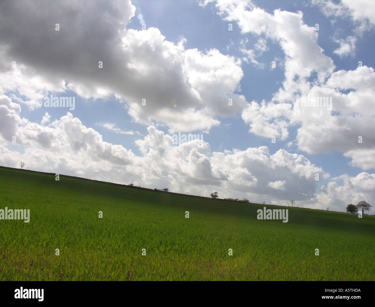 Sloping green field and cumulus clouds Stock Photo - Alamy