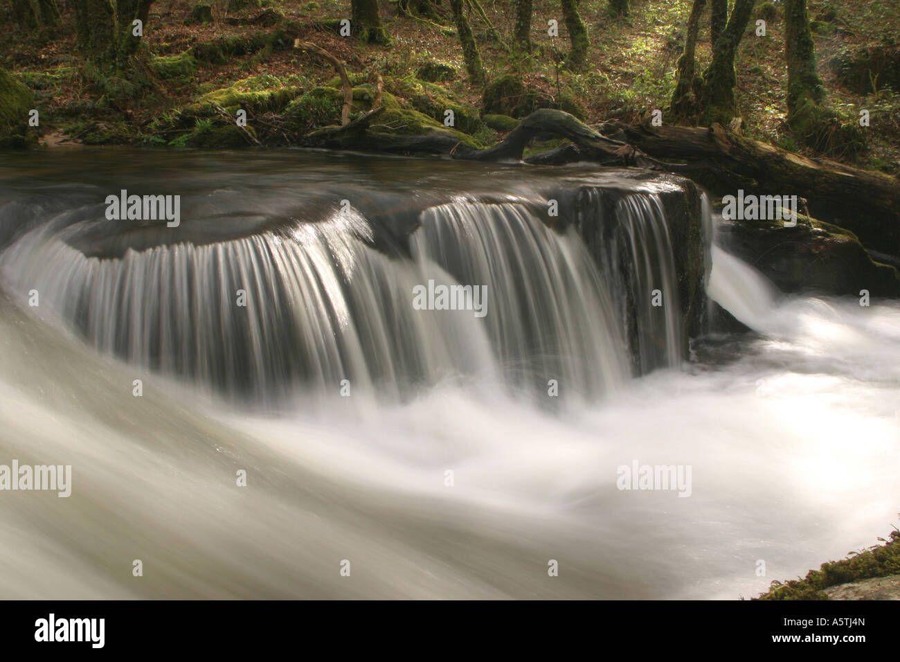 Golitha Falls, Cornwall Stock Photo - Alamy