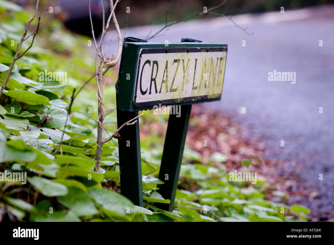 A street named Crazy Lane, in East Sussex. Picture by Jim Holden Stock ...