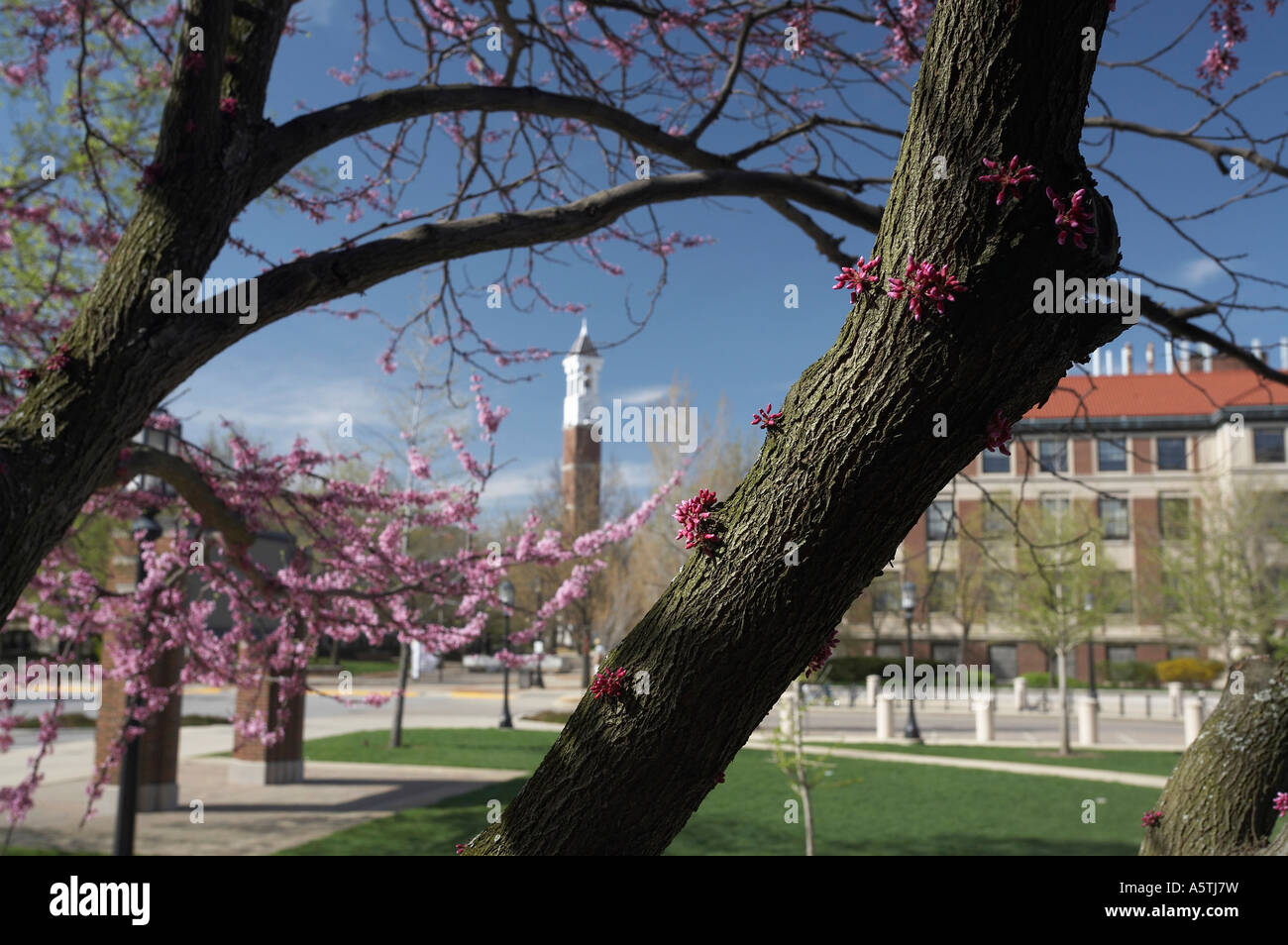 Purdue campus hi-res stock photography and images - Alamy