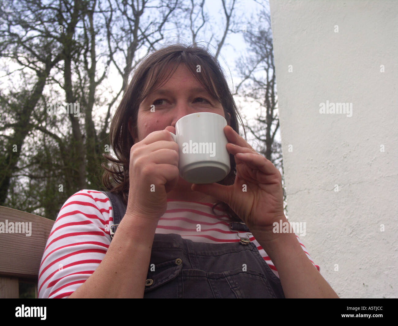 Woman drinking from tea hi-res stock photography and images - Alamy