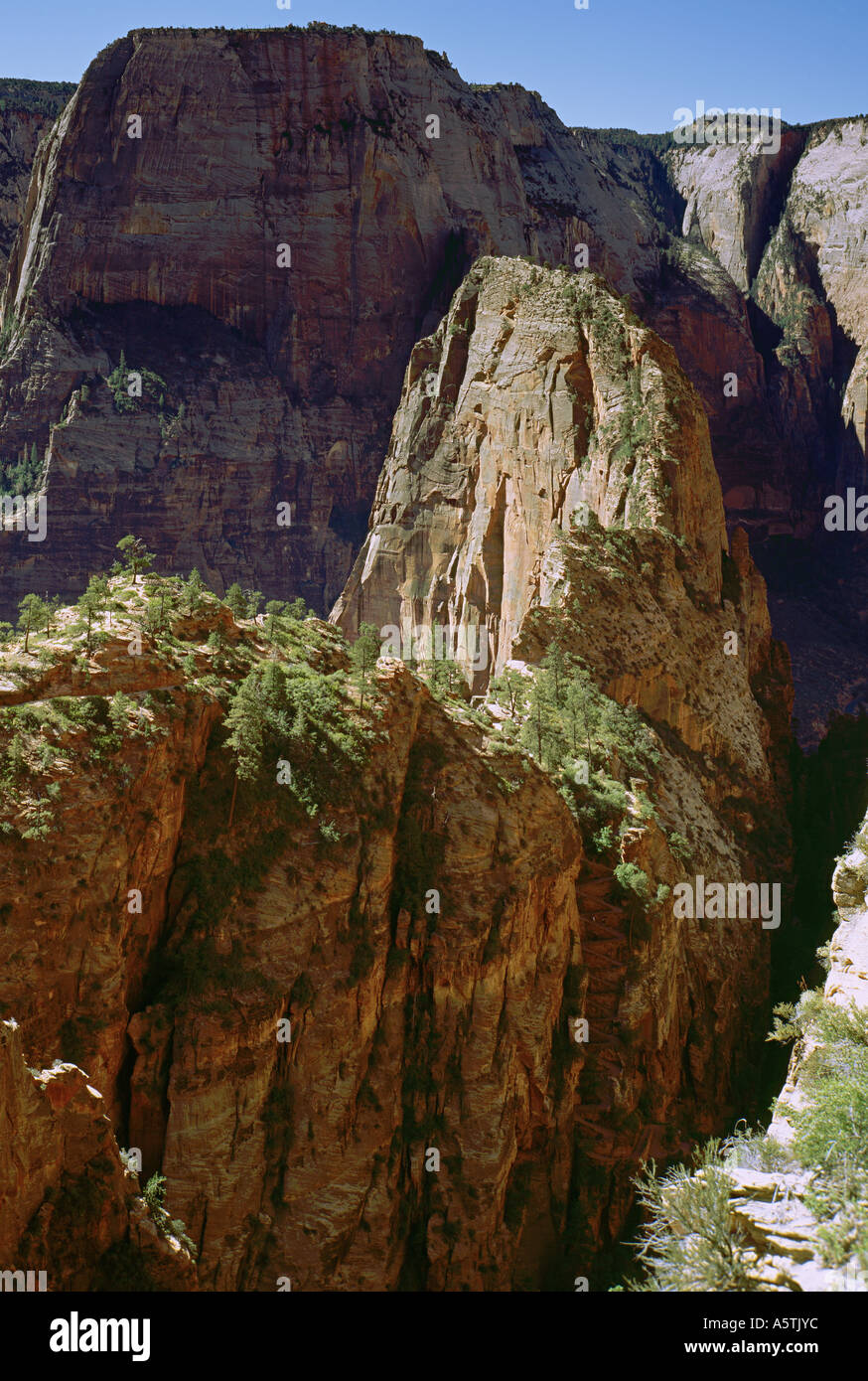 Angel's landing walters wiggles hi-res stock photography and images - Alamy