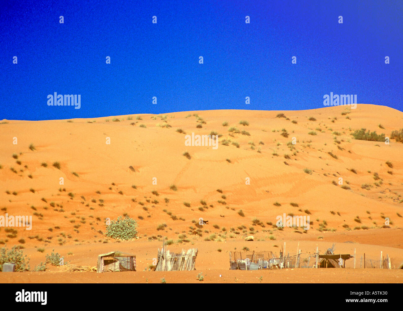 1019 bedu huts hi-res stock photography and images - Alamy