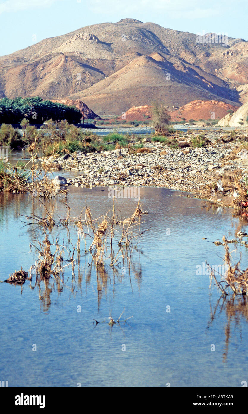 1169 after rain hi-res stock photography and images - Alamy