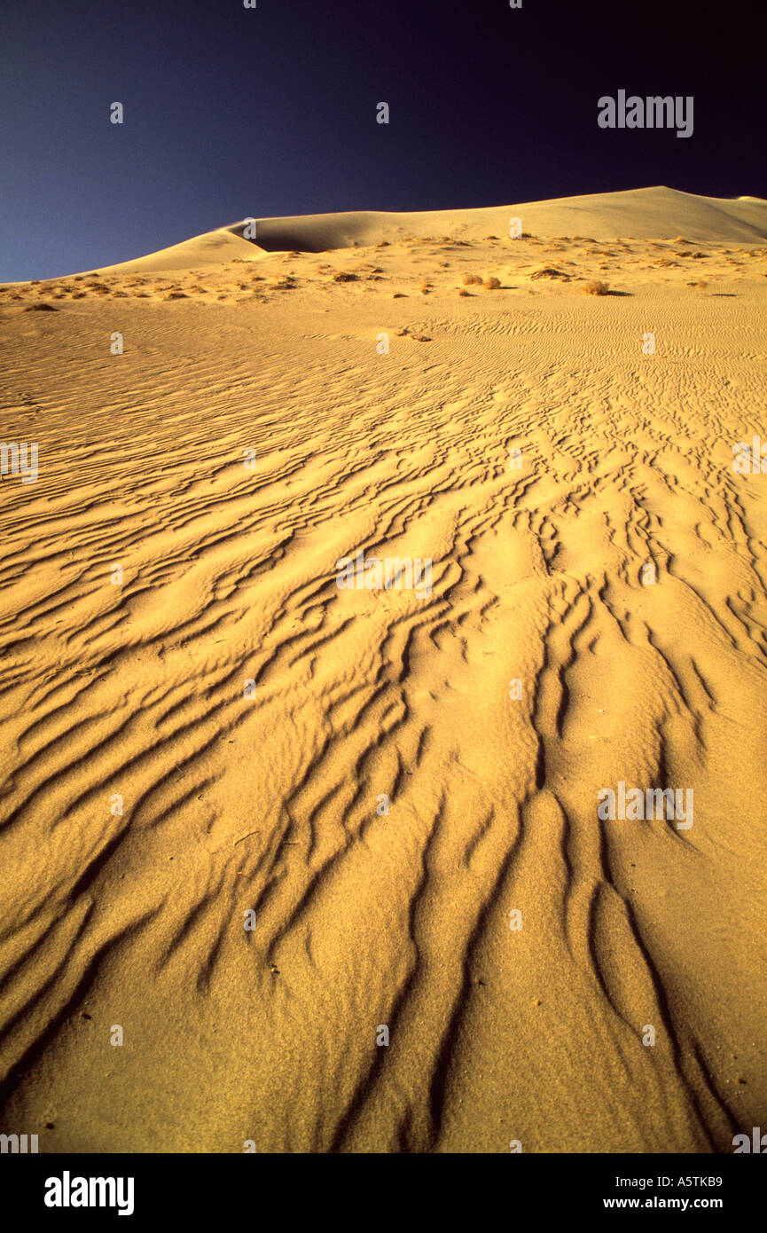 Wind shaped sand dunes Death Valley National Park California Stock ...
