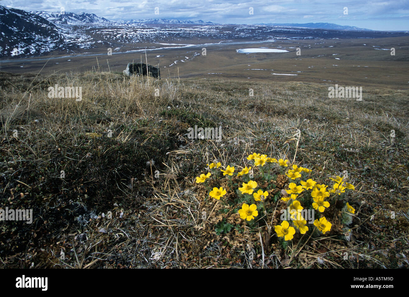 Alaska Arctic National Wildlife Refuge view from Brooks Range mountains ...