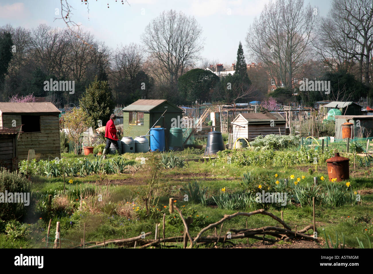 Urban allotments hi-res stock photography and images - Alamy